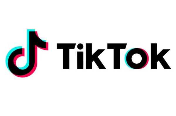 We Made A Tiktok R sum Infographic Resumes